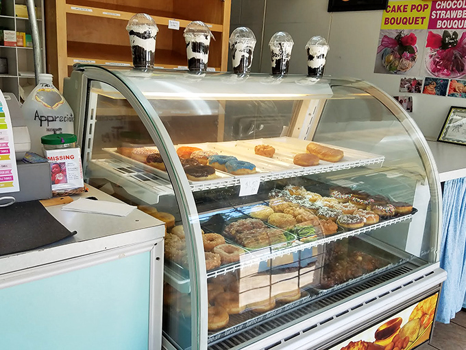 Display case perfection: where donut dreams materialize behind curved glass. The hardest decision you'll make all day awaits.