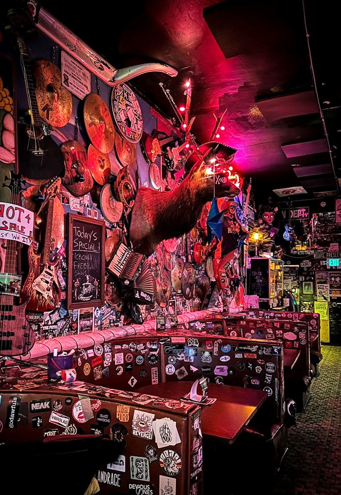 Where every surface tells a story: The wild boar watches over a bar that's part museum, part time capsule, and entirely authentic.