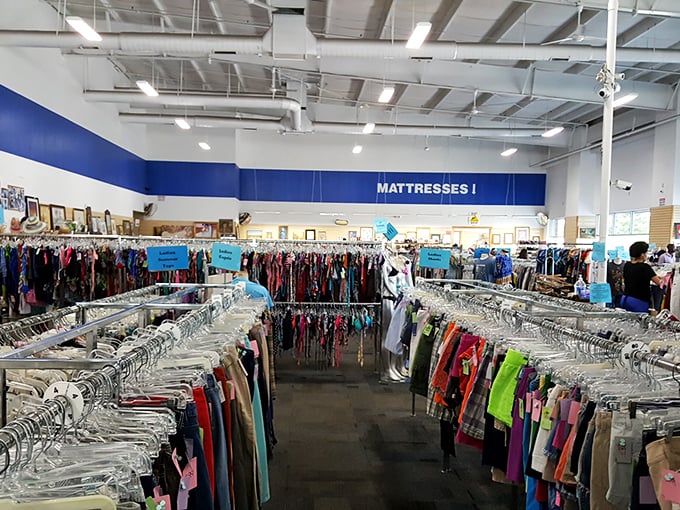 Rows upon rows of clothing stretch toward the horizon, a textile Grand Canyon where fashion bargain hunters roam free.