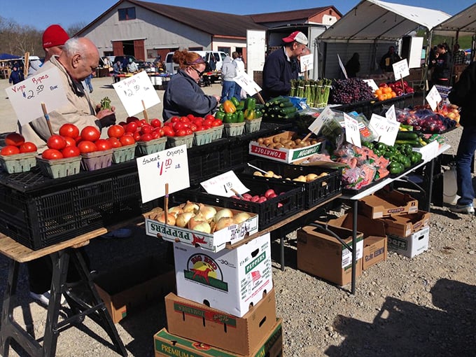 Farm-fresh produce that puts supermarket vegetables to shame. These tomatoes didn't travel further than you did to get here.