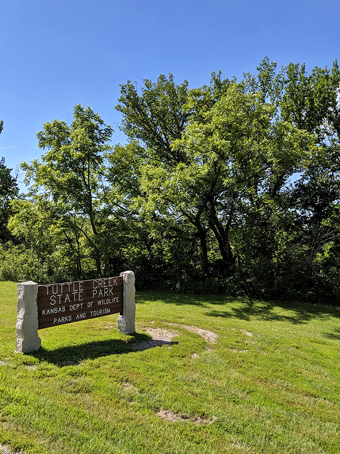 Nature's welcome sign stands sentinel at the park entrance. Like a good host, it doesn't brag about what awaits beyond&mdash;it simply invites you in.