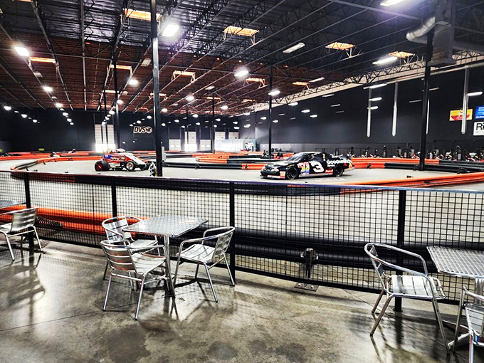 Where spectators become strategists, analyzing every turn while secretly plotting their own racing domination from comfortable metal perches.