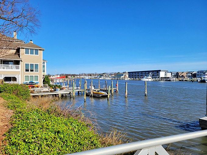 Where white sails meet blue waters, Lewes Harbor offers a kaleidoscope of maritime activity against a backdrop of waterfront restaurants and homes.