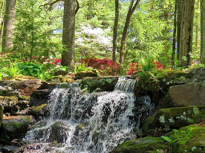 Water doesn't just flow here&mdash;it dances. This multi-tiered waterfall creates nature's soundtrack while red maples add dramatic flair to the background.