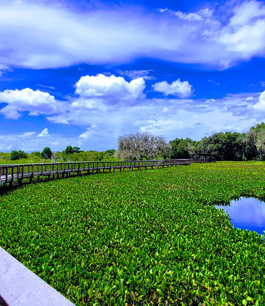 21000 acre park florida ftr