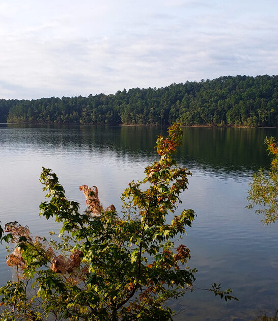 276 acre park arkansas ftr