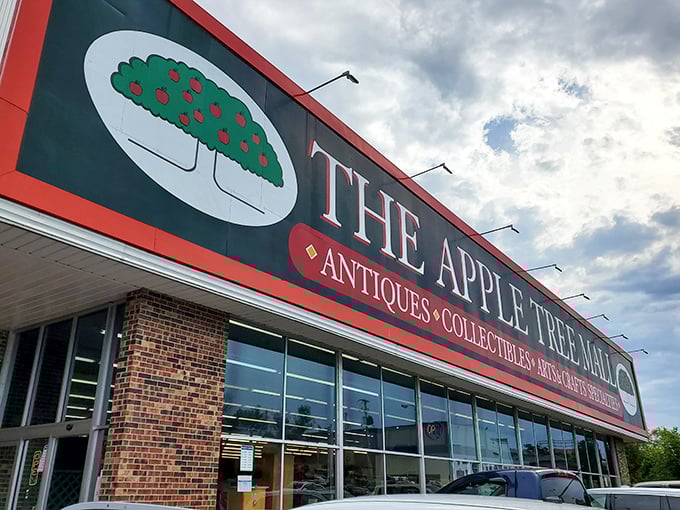 The Apple Tree doesn't fall far from greatness. This Branson institution houses countless collectibles under one welcoming roof.