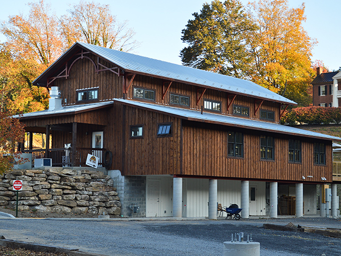  Hill & Holler's rustic wooden charm feels like a barn that went to culinary school and came back with serious pizza credentials.