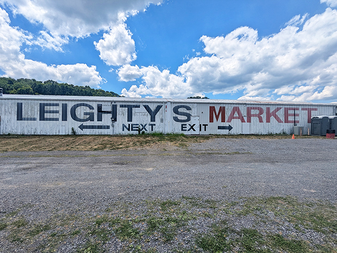 Leighty's Outdoor Flea Market: Bargain hunters browse under canopies of possibility, where haggling is both sport and art form.
