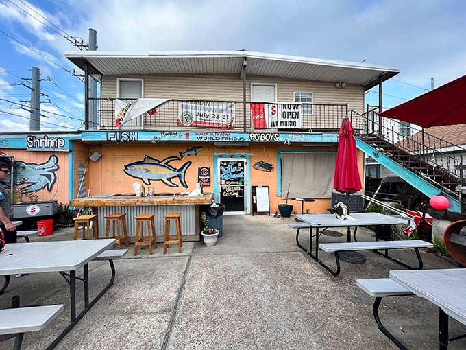 Seither's vibrant facade promises seafood with personality—where the walls are as colorful as the characters inside.