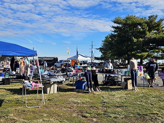 Blue skies, green grass, and tables loaded with possibilities &ndash; this is flea market heaven in the Shenandoah Valley.