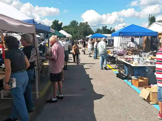 The weekend bazaar transforms an ordinary parking lot into a community gathering spot. Every aisle promises unexpected discoveries.