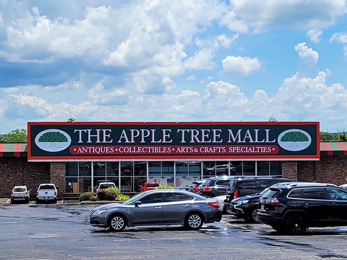 Where shopping meets time travel. Apple Tree Mall's charming facade hides a wonderland of nostalgia waiting to be rediscovered.