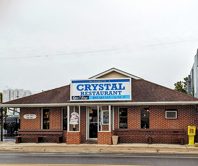 Where locals and savvy visitors escape the boardwalk chaos for breakfast that doesn't require a second mortgage.