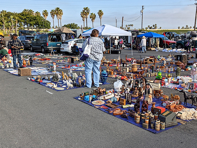 The ultimate test of willpower – navigating Kobey's without adopting someone else's perfectly good sofa cushions.