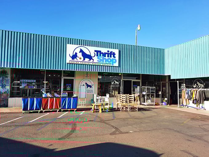 Shopping with a side of soul &ndash; this coastal blue thrift haven turns your purchases into meals for furry friends next door.
