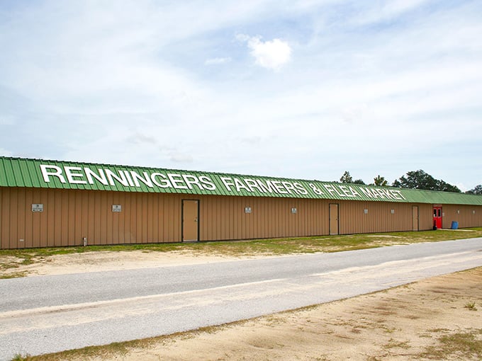 Mount Dora's premier treasure trove awaits, where one person's attic castoffs become another's prized collection centerpiece.