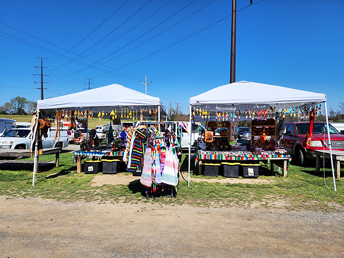 Colorful canopies dot the landscape at Shen-Valley, each one a portal to potential treasures and unexpected conversations.