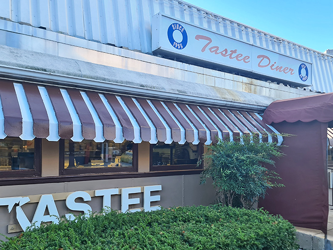 The iconic "TASTEE DINER" sign glows with promise, like a beacon for those seeking refuge from chain restaurant mediocrity.