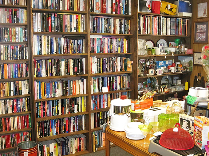 A bibliophile's dream come true&mdash;floor-to-ceiling shelves where literary treasures wait patiently for their next adventure to begin.