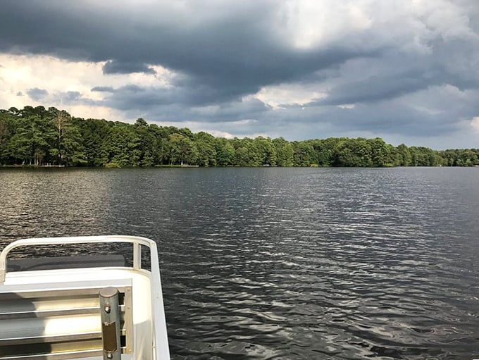 Storm clouds gather but can't diminish the serene beauty of Trap Pond's reflective waters&mdash;nature's own infinity mirror.