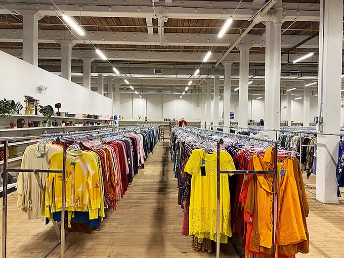 A rainbow of possibilities hangs in perfect formation. Those vibrant yellows and oranges could brighten even the gloomiest New Jersey winter day.