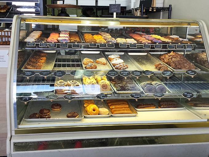 Donut heaven, displayed in all its glory. Each tray a neighborhood of flavor, each pastry a potential new best friend.