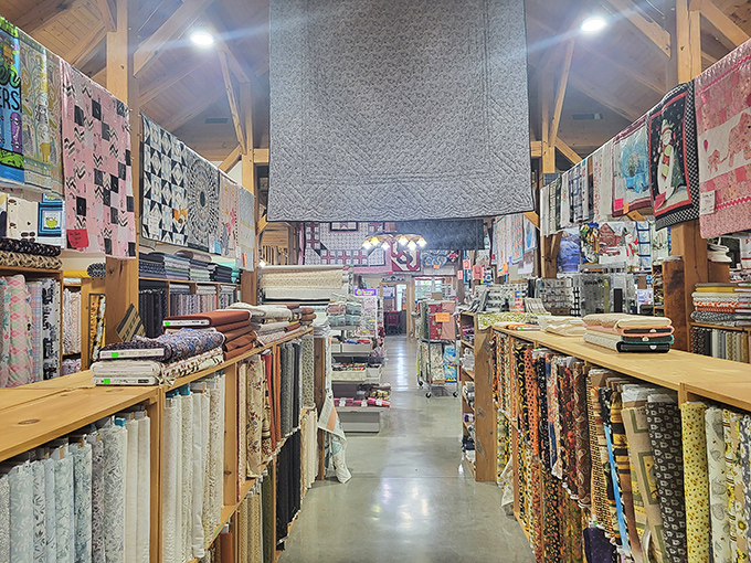 Aisles stretch into fabric infinity, where bolts of possibility line both sides like a textile version of the Yellow Brick Road.