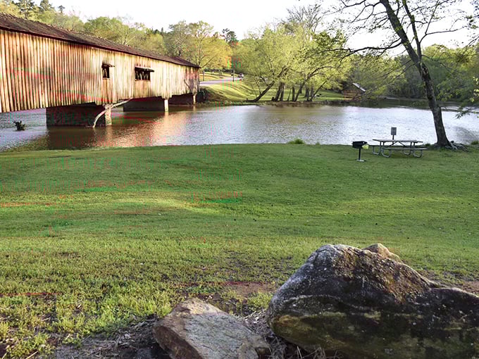 Nature's living room complete with water views. This riverside picnic spot proves that the best dining ambiance doesn't require reservations or dress codes.