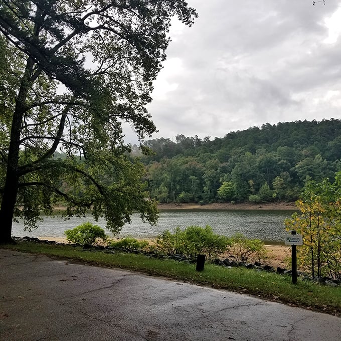 The kind of view that makes smartphone wallpapers jealous. Lake Greeson's shoreline curves like nature's own masterpiece.