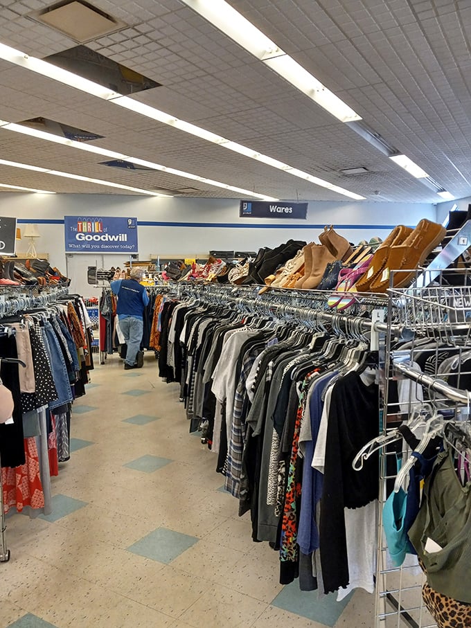 Shopping carts lined up like eager racehorses at the starting gate, ready for their thrifting marathon.