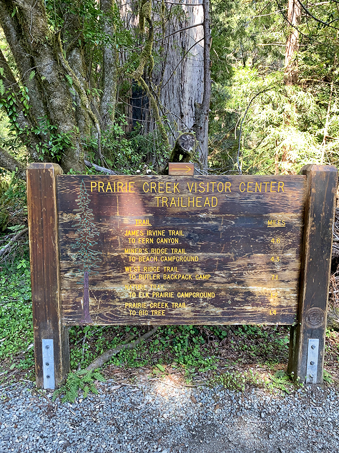 The trailhead sign: nature's menu of adventures. Each path promises a different flavor of redwood magic.