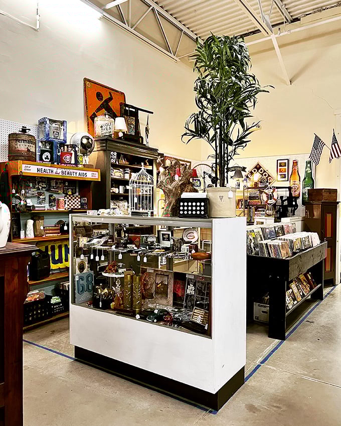 This isn't just a display case&mdash;it's a museum of American pop culture where "Health & Beauty Aids" meant something entirely different.