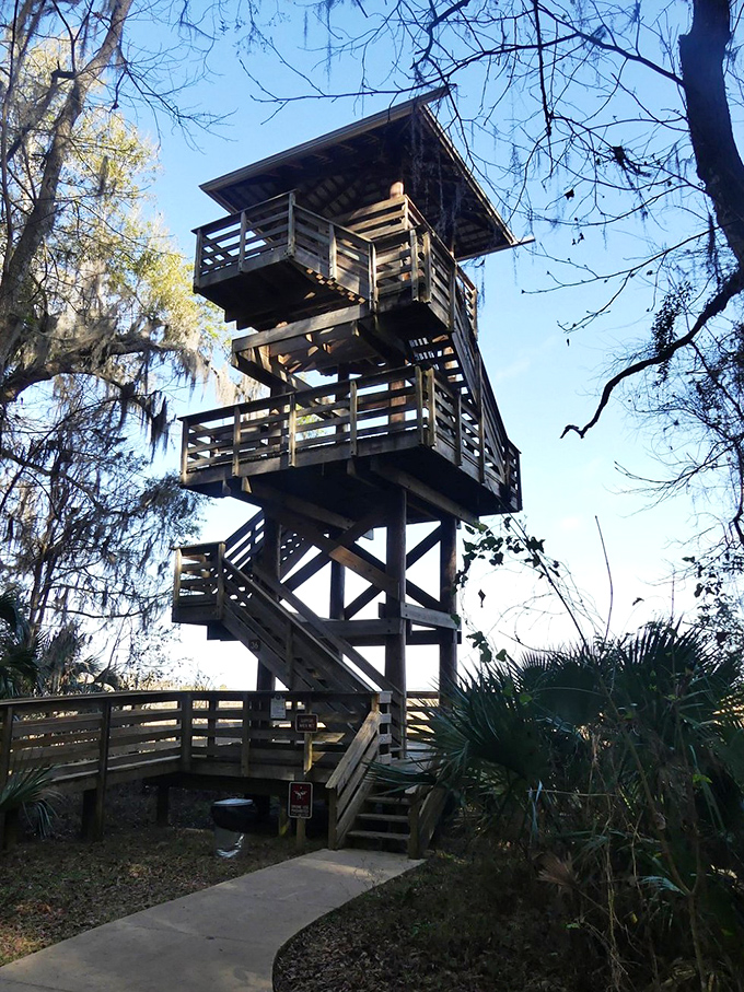 This observation tower isn't just stairs to nowhere—it's your ticket to panoramic views that early Floridians and Seminole leaders once surveyed.