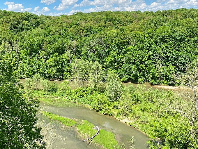 Mother Nature's masterpiece unfolds along Sugar Creek. The winding waterway has spent millennia carving these verdant valleys, creating a landscape worthy of a desktop wallpaper.