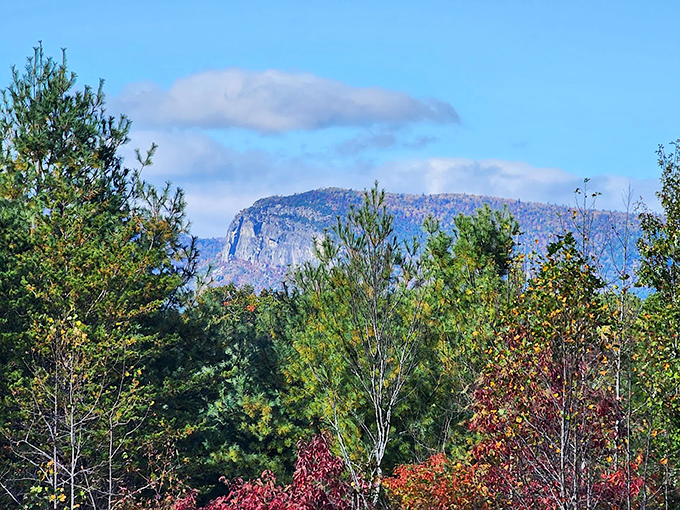 Table Rock stands sentinel in the distance, a dramatic backdrop that transforms this lake into a scene worthy of a fantasy novel.