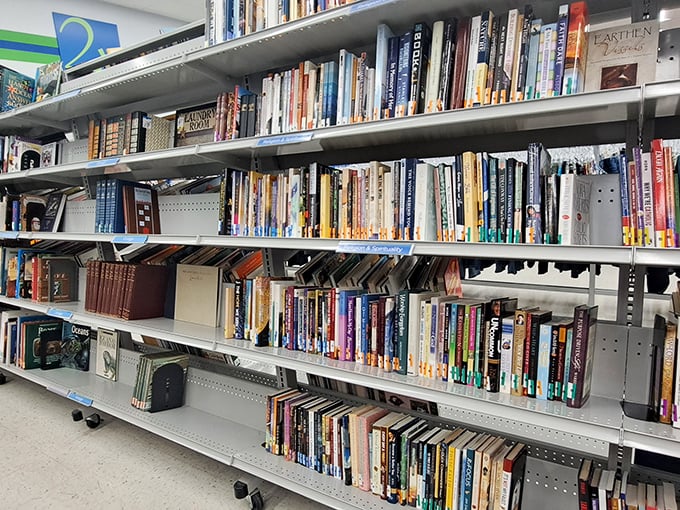 The literary section: where forgotten bestsellers and obscure gems live their second chapter. Bibliophiles, prepare to lose track of time.