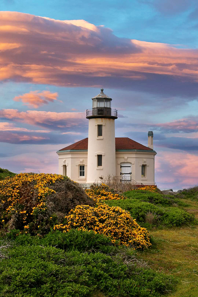 The Coquille River Lighthouse stands like a maritime sentinel, surrounded by wildflowers that seem to be auditioning for a Monet painting. 
