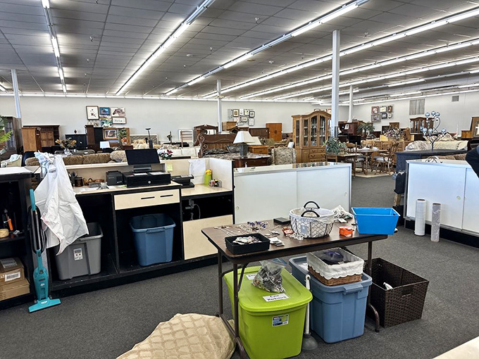 From vintage desks to cozy armchairs, the furniture section is arranged like a choose-your-own-adventure novel for your living room.