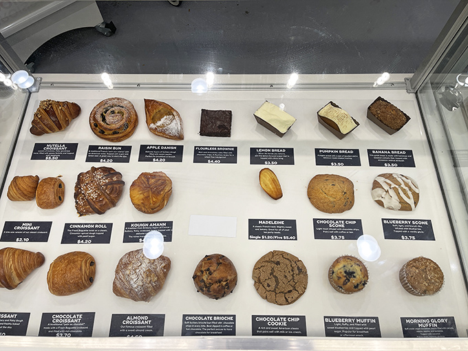 Decisions, decisions! The display case is like a museum of French pastry artistry where everything begs to be "appreciated" with your taste buds.