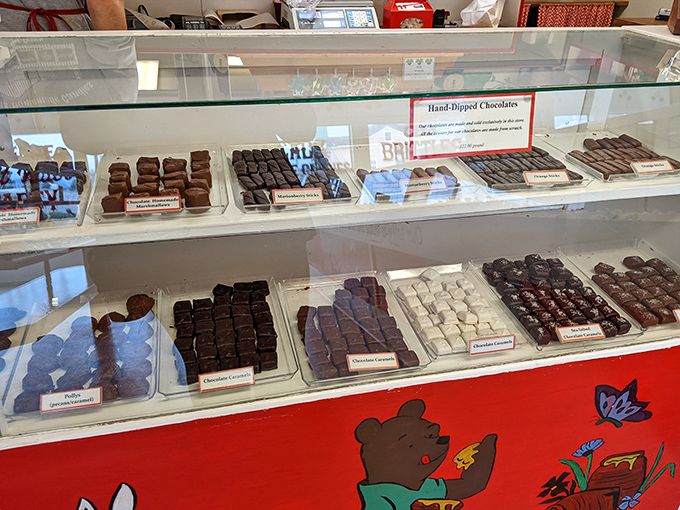 These chocolate treasures aren't just displayed&mdash;they're showcased like the edible art they truly are. Each square promises a momentary escape from adulting.