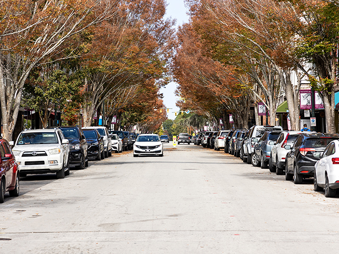 Fall transforms New Bern's streets into a scene worthy of a Hallmark movie, minus the contrived romance and plus authentic local charm.