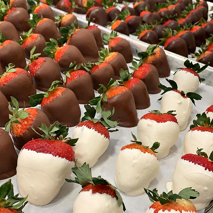 Chocolate-dipped strawberries stand in formation like delicious soldiers, their red and brown uniforms making them the most delectable army ever assembled.
