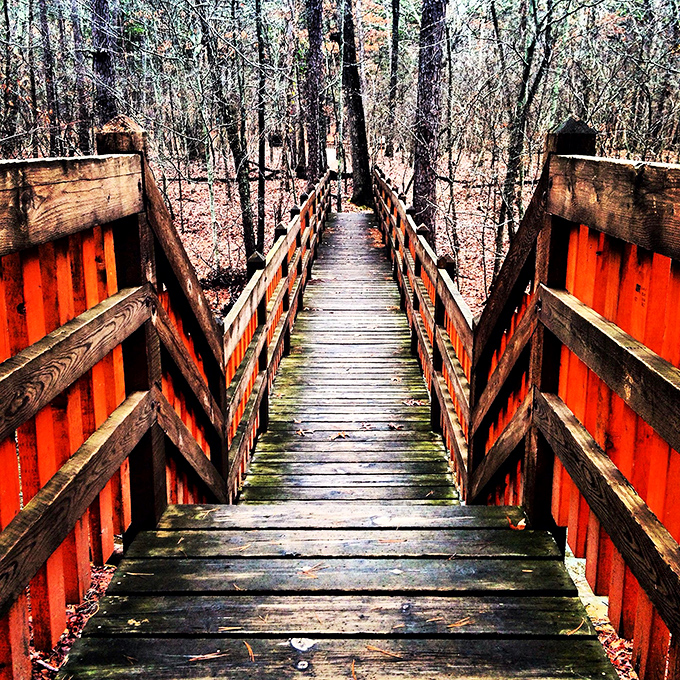 Wooden pathways through Hawn State Park invite exploration. This trail promises adventure through Missouri woodlands, where every turn reveals another natural masterpiece.