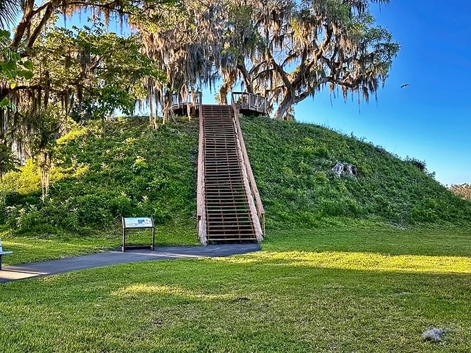 Nature and history converge at this Native American ceremonial mound. The wooden staircase invites visitors to climb into Florida's ancient past, Spanish moss dangling overhead like historical curtains.