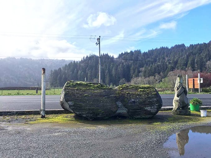 Nature's sculpture garden: This moss-covered behemoth reminds visitors they've entered a land where even the rocks tell stories.