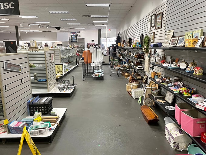 Aisles stretch into the distance, each shelf a potential gold mine of forgotten treasures waiting for their second chance at usefulness.