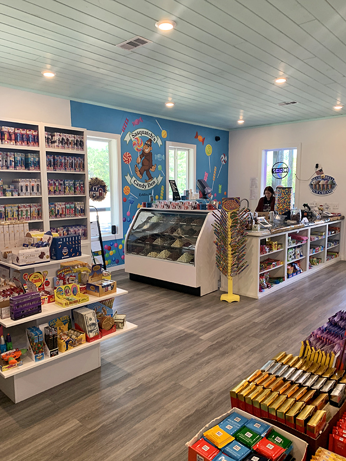 Step inside and behold the promised land&mdash;shelves lined with colorful treasures that transport you back to Saturday mornings with cartoons and no responsibilities.