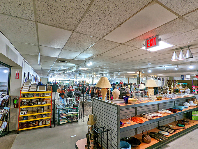 Step inside and prepare for sensory overload – every shelf, rack, and display case tells a different story.