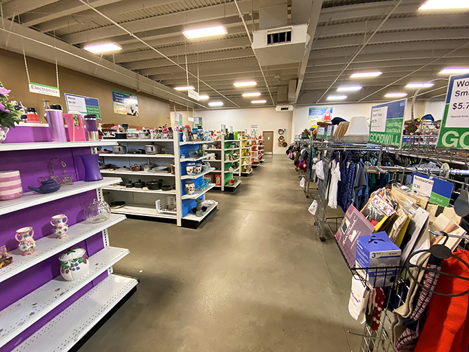 Aisles that seem to stretch into infinity, each shelf a potential goldmine. This isn't shopping—it's a treasure expedition!